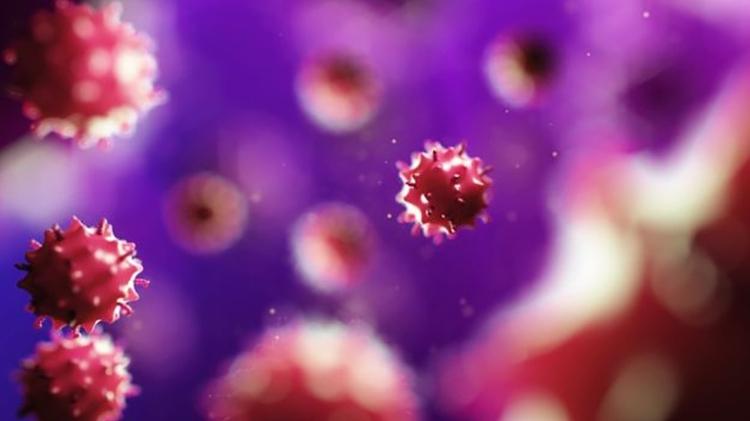 O que é verdade e o que é boato nos alertas sobre epidemia de gripe no ...