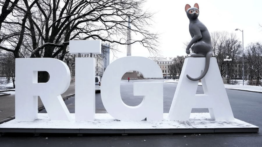 Gato de Flow vira ponto turístico durante campanha para o Oscar