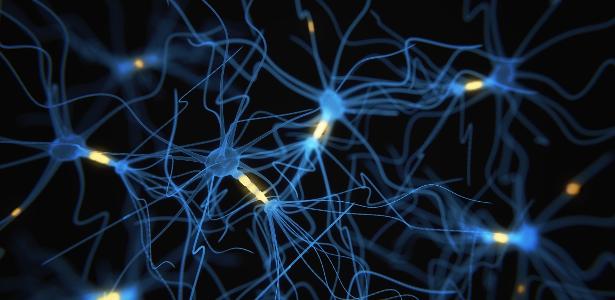 Cuide dos seus! Paramos de produzir neurônios da memória na ...