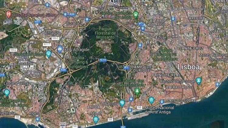 Cultivada por presidiários, floresta em Lisboa é refúgio de 'saca-rabos ...