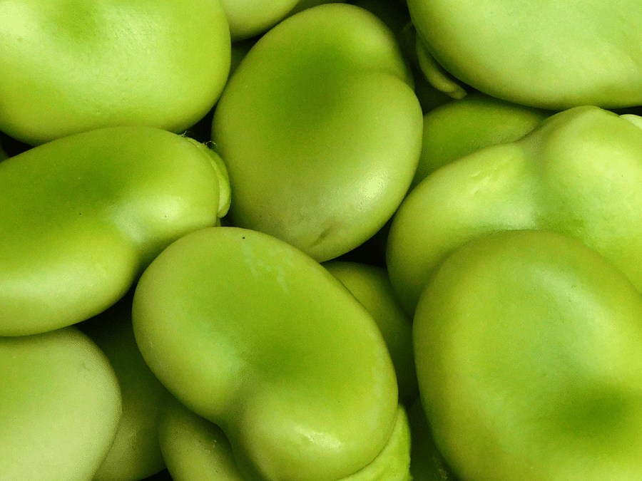 Evita glicose no sangue, fortalece ossos: conheça os benefícios da fava