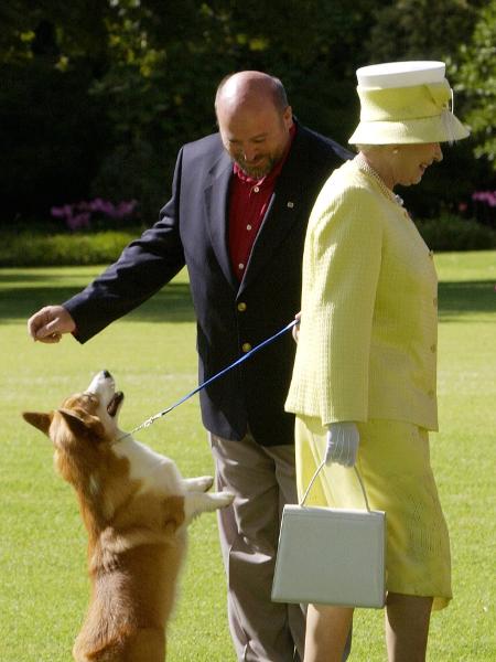 Mãe de pet desde os 7 anos, Elizabeth 2ª criou com luxo mais de 30 cães ...