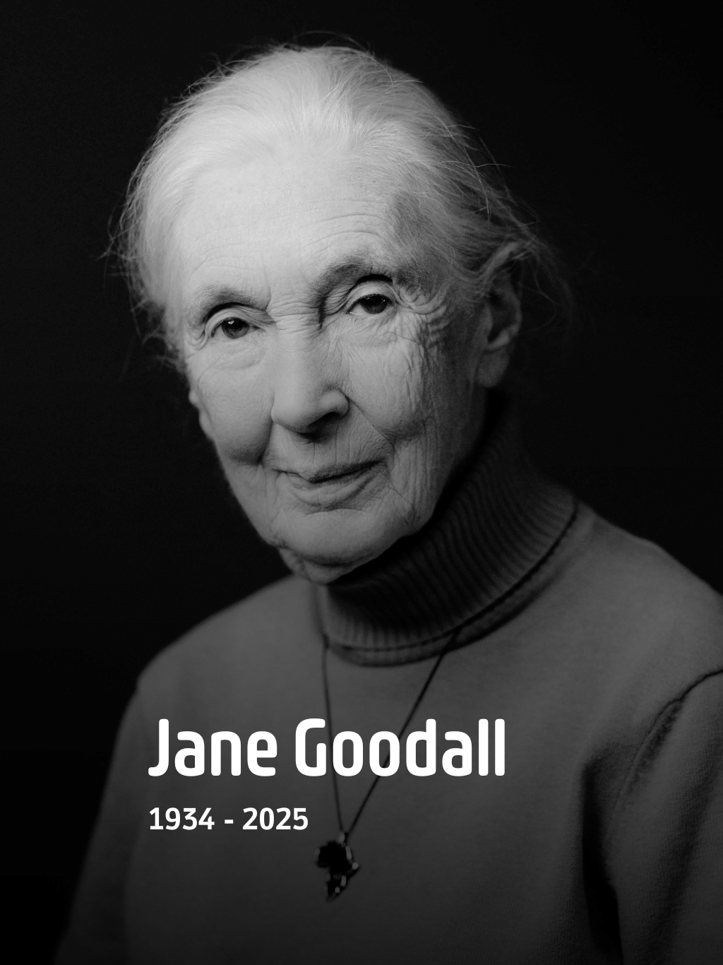 Brasil abre 6 mil leitos para COP30 após acordo com navios de cruzeiro