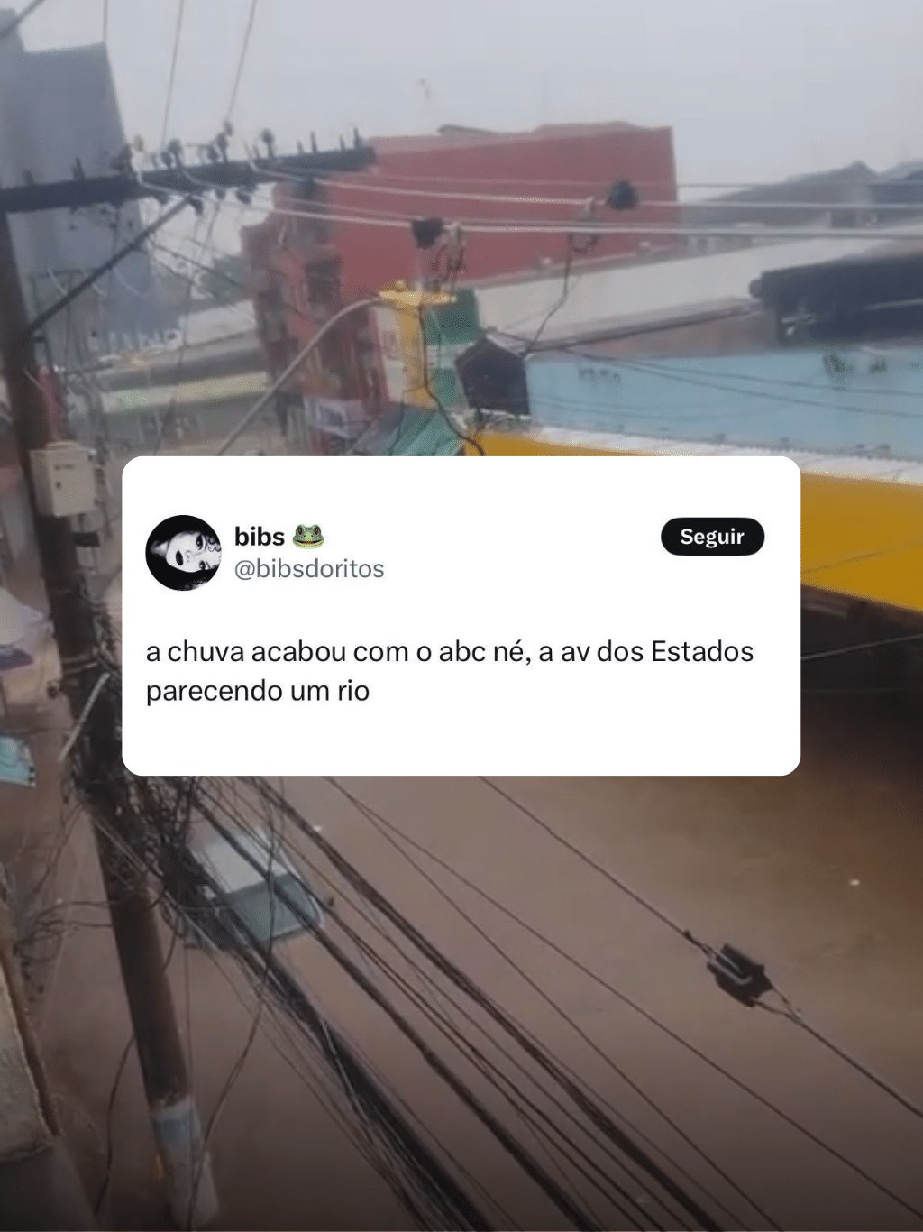 ?Se o mundo não acabou hoje, nunca mais acaba?: os relatos da chuva que ...