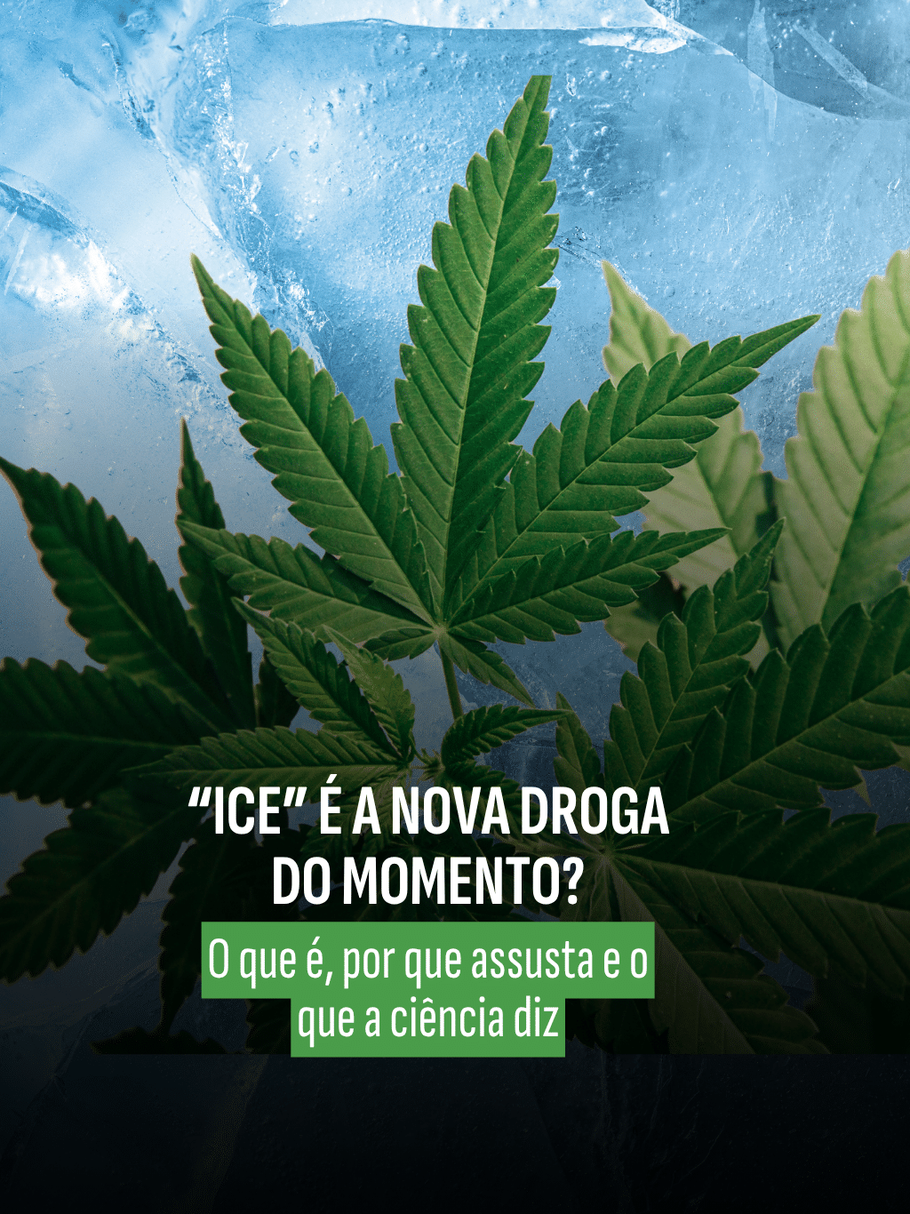 "Ice" é a nova droga do momento? O que é, por que assusta e o que a ...