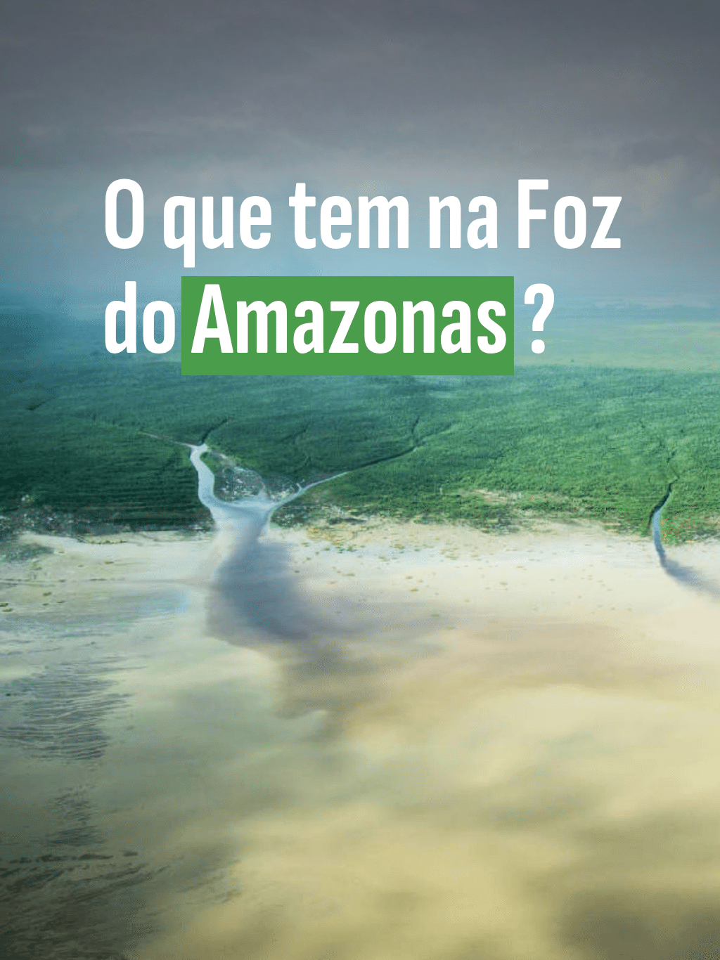 Foz do Amazonas: Marina defende rigor do Ibama em licença