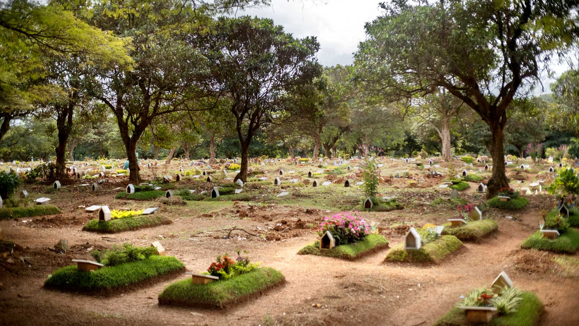 Quais são os maiores milagreiros de cemitério de São Paulo?