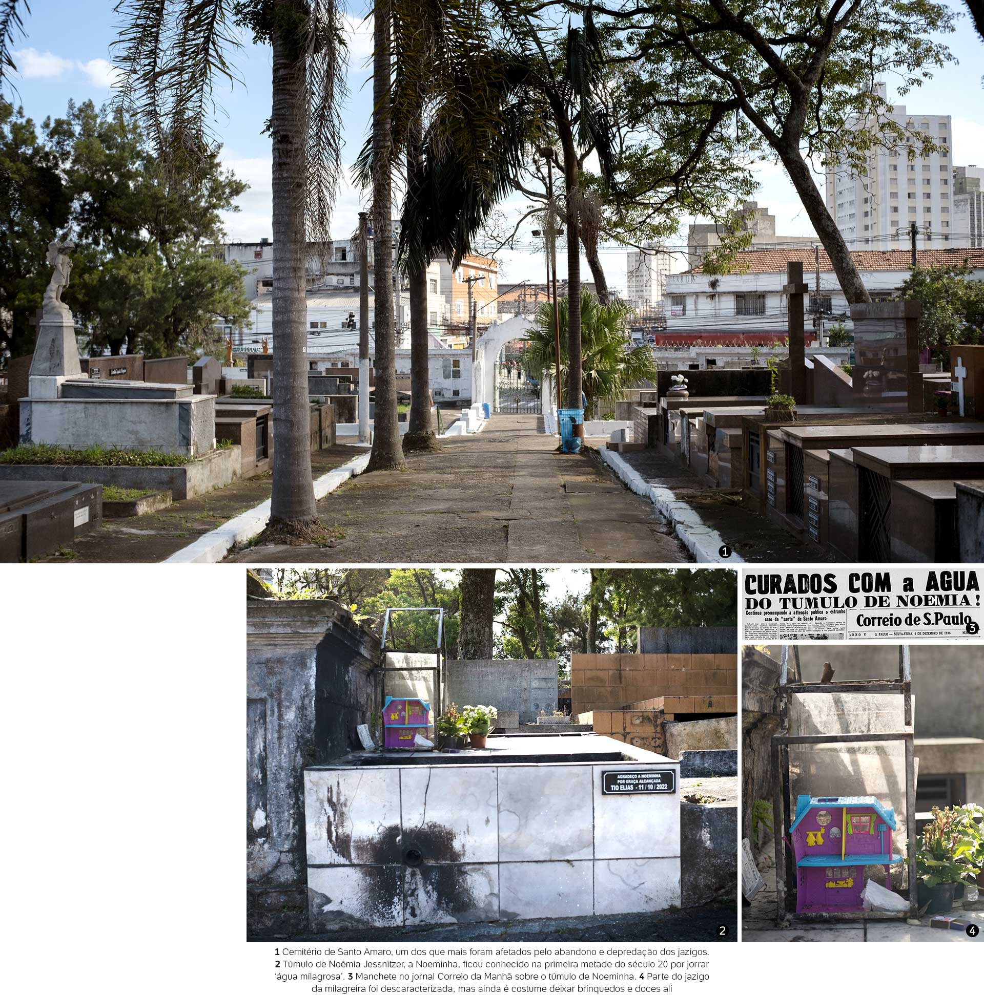 Quais são os maiores milagreiros de cemitério de São Paulo?