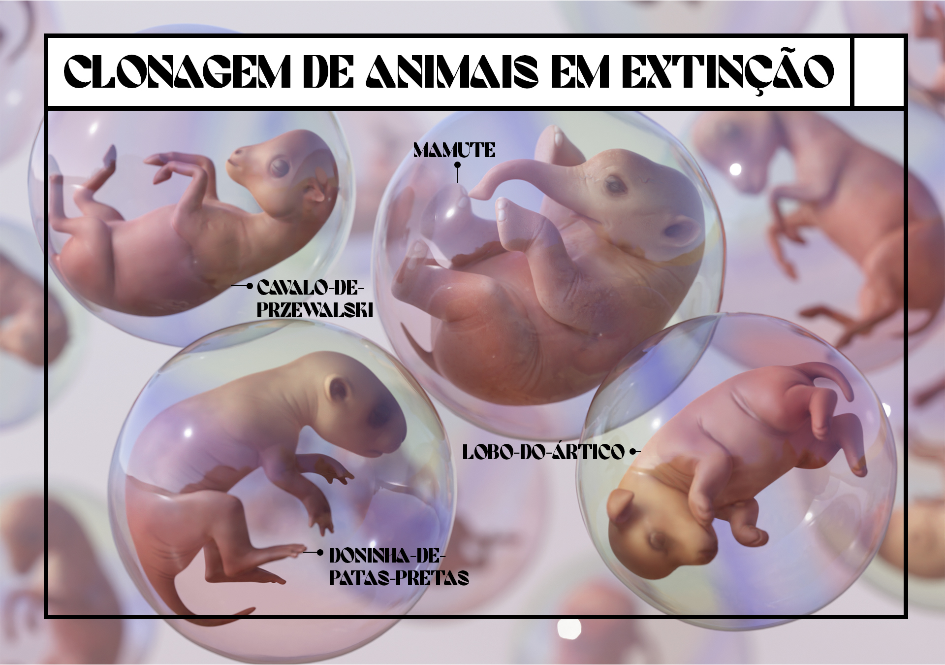 Clonar pets vira tendência e gera polêmica; nós temos esse direito?