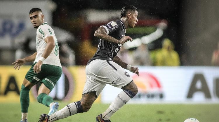 Palmeiras tem gol anulado no fim, empata com Remo e vê Fla se aproximar