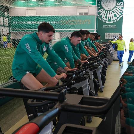 Palmeiras se reapresenta após classificação na Libertadores