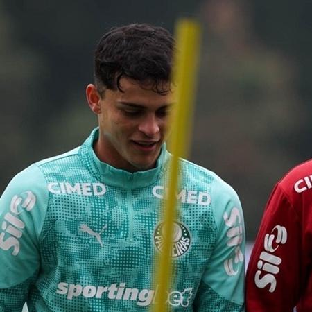 Palmeiras: Sosa avança em recuperação e pode reforçar o ataque