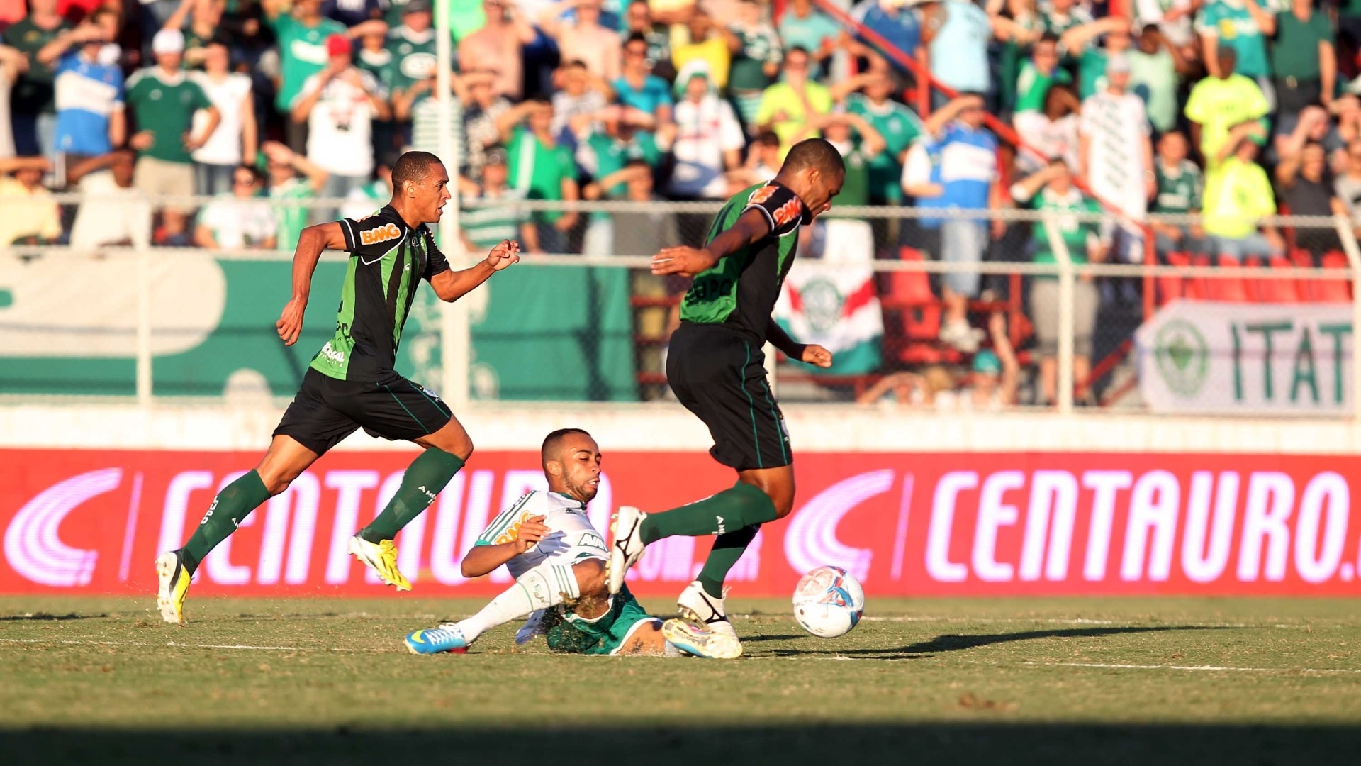 América-MG venceu pela primeira vez o Palmeiras pelo Brasileiro - 02/06 ...