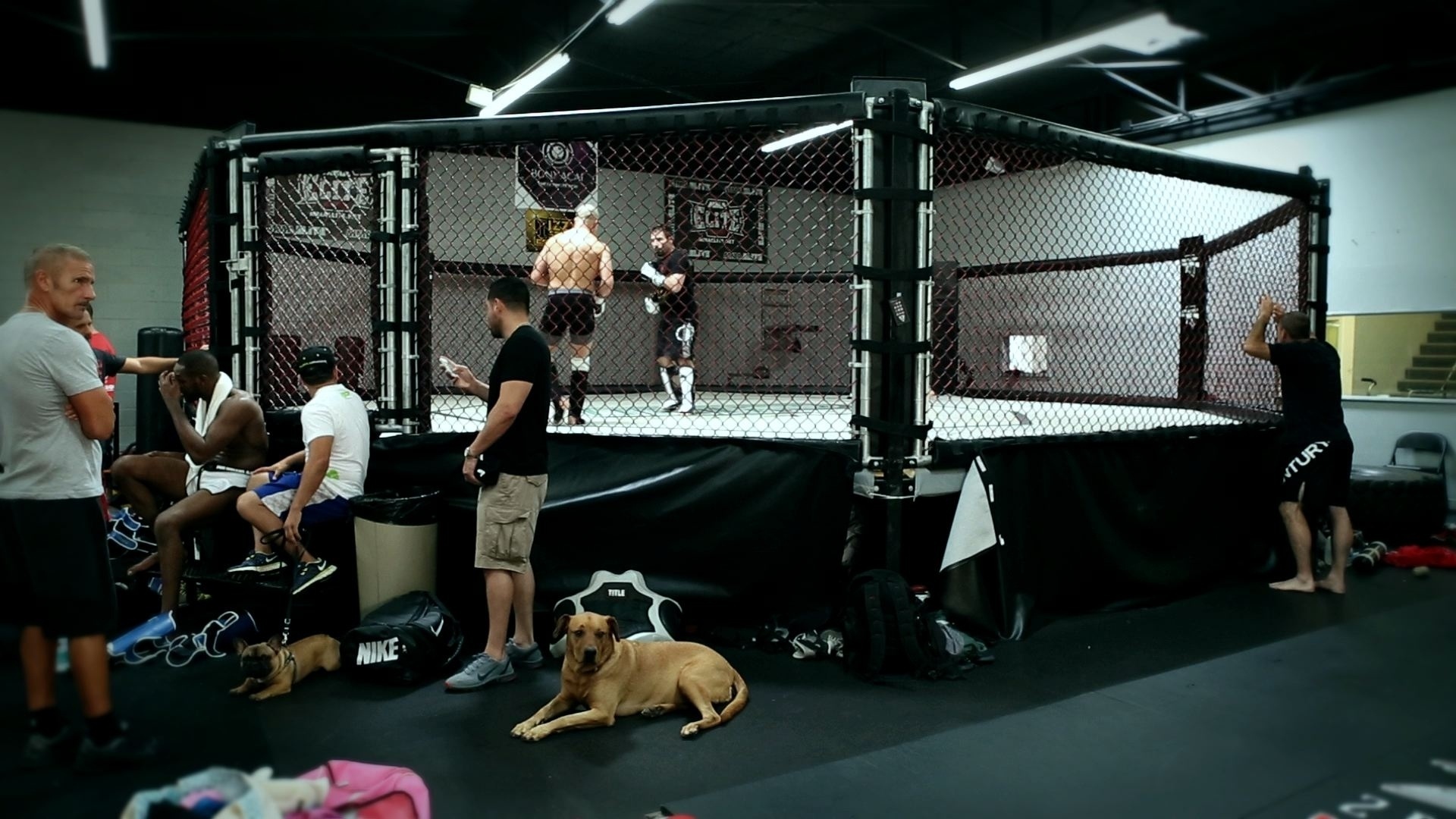 Fotos: Conheça a Jackson's MMA - 17/09/2013 - UOL Esporte