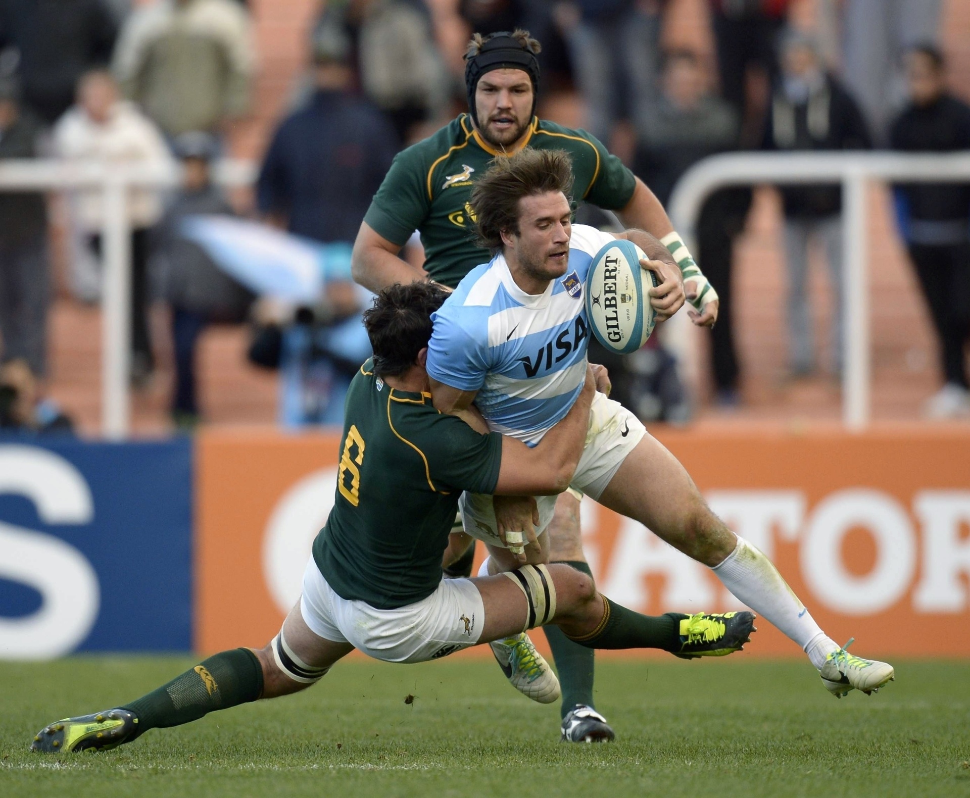 Fotos: Porradas e trombadas no The Rugby Championship - 21/09/2013 ...