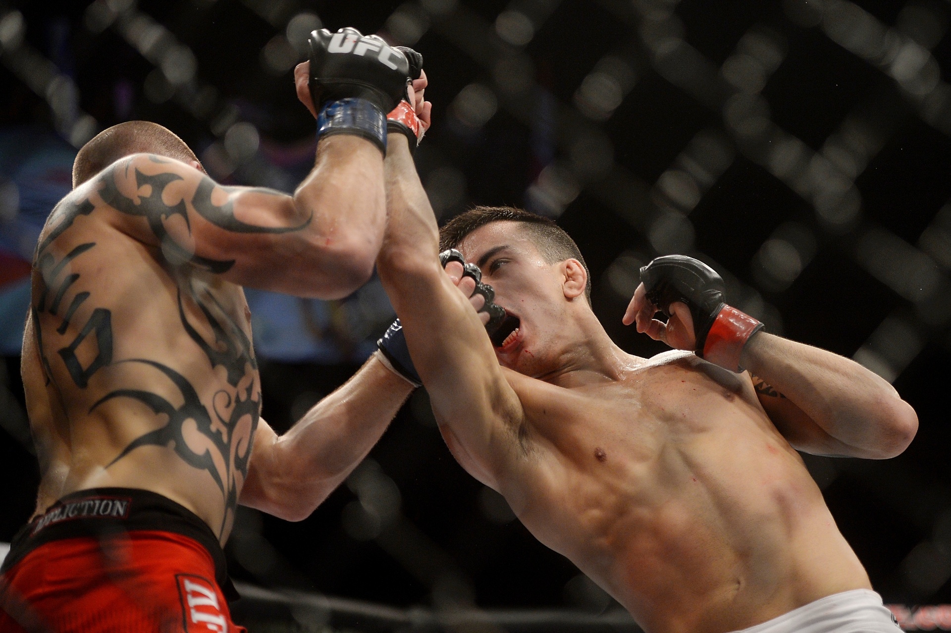Fotos: UFC Uberlândia - 08/11/2014 - 08/11/2014 - UOL Esporte