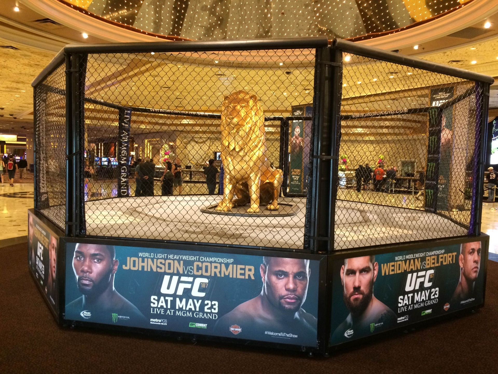 Fotos: A semana do UFC 187 - 19/05/2015 - UOL Esporte