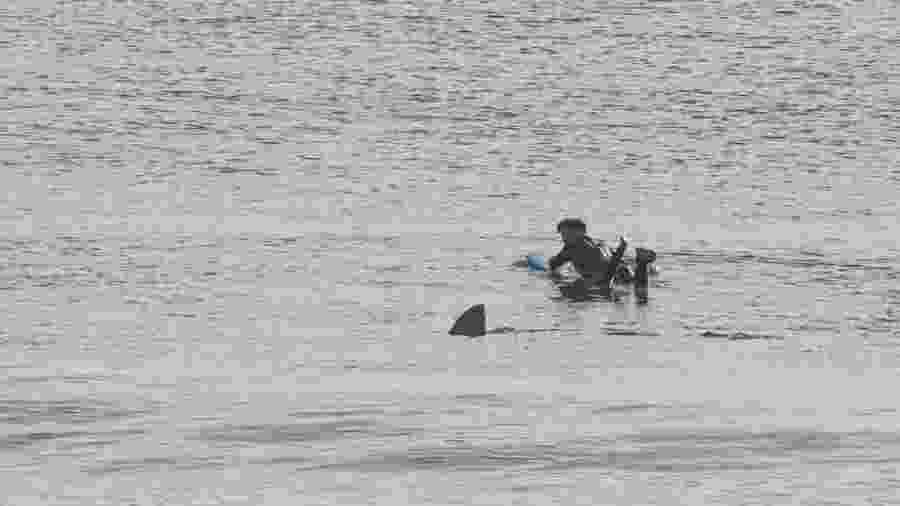 Surfista dos EUA 'nasce de novo' após ver tubarão à sua esquerda no mar ...