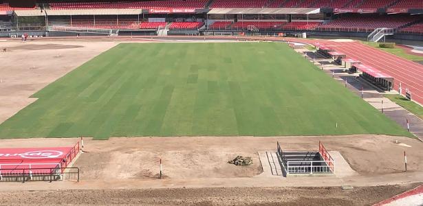 Novo gramado do Morumbi sobrevive à maratona de São Paulo e Palmeiras