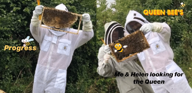 David Beckham comemora 'progresso' como apicultor e mostra colmeia em ...