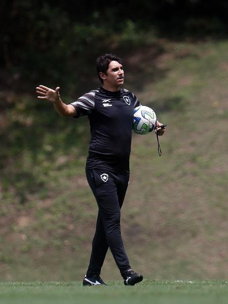 Botafogo: Por que diretoria confia em Lúcio Flávio para a reta final