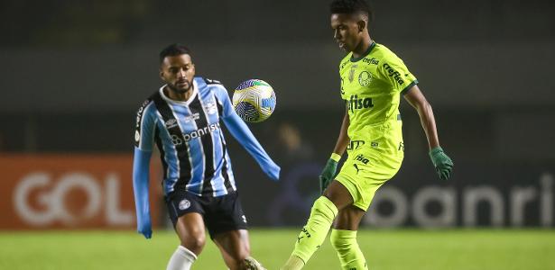Palmeiras x Grêmio: Transmissão Ao Vivo e Onde Assistir