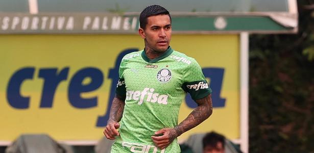 Palmeiras: 'Hoje, Dudu não faz falta no elenco', diz Gustavo Soler