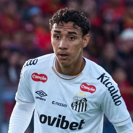 Gabriel Bontempo renova com o Santos até 2030: 'Espero retribuir dentro ...