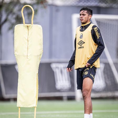 Santos vê sondagens, mas evita a saída de graça de Menino da Vila