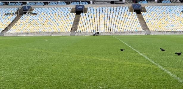 Show do Sorriso Maroto deixa marcas no gramado do Maracanã