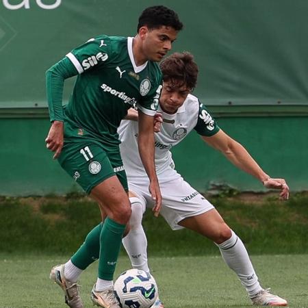 Palmeiras: Atacante que não joga há 600 dias sonha com retorno em 25