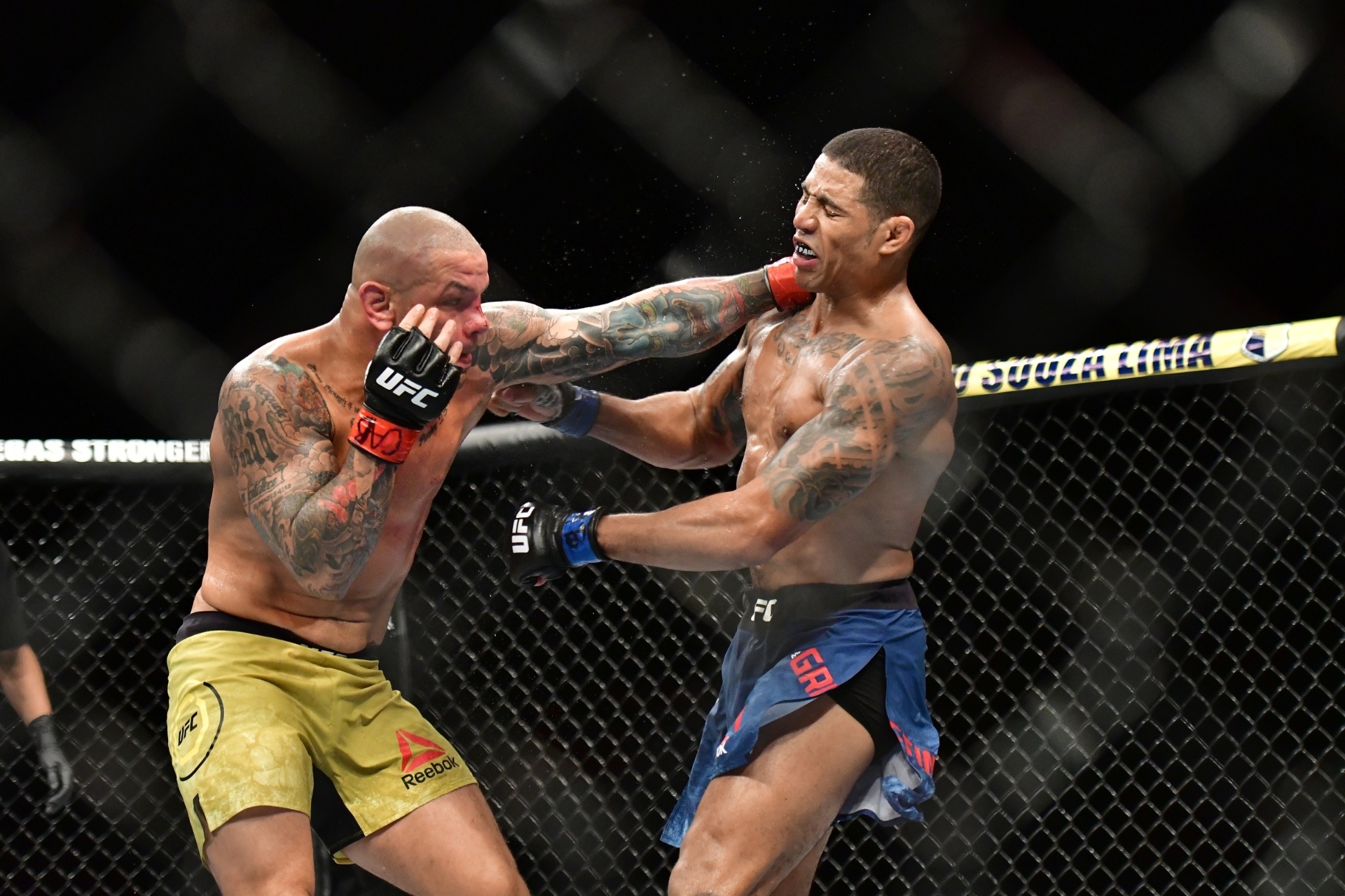 Fotos: Veja as principais fotos do UFC Fight Night 144, em Fortaleza ...