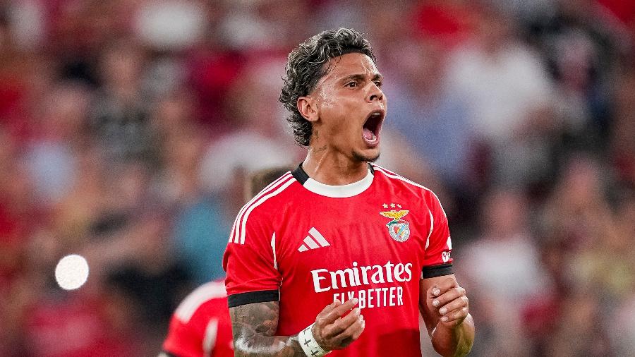 Assistir Benfica x Qarabag pela Champions League: veja onde vai passar ...