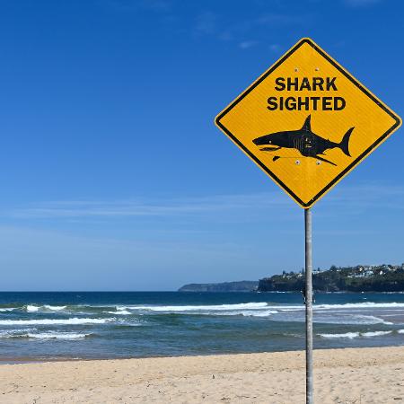 Ataques de tubarão crescem na Austrália e colocam praias em alerta