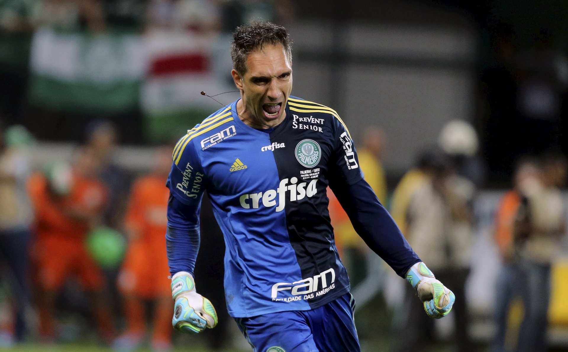 Prass brilha, Palmeiras vence Santos nos pênaltis e conquista a Copa ...