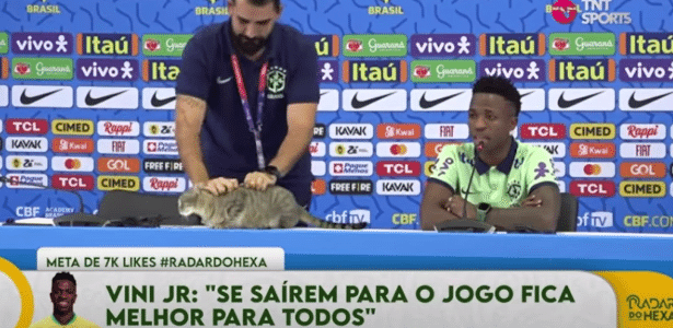 Por onde anda o assessor do caso do gato na Copa de 2022