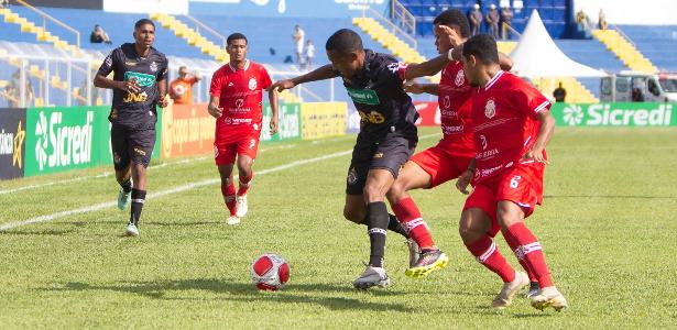 Discover Curious Names and Surnames from the 2025 Edition - NewsyList