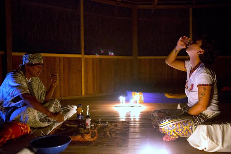 Explosão do consumo global de ayahuasca ameaça plantas da Amazônia