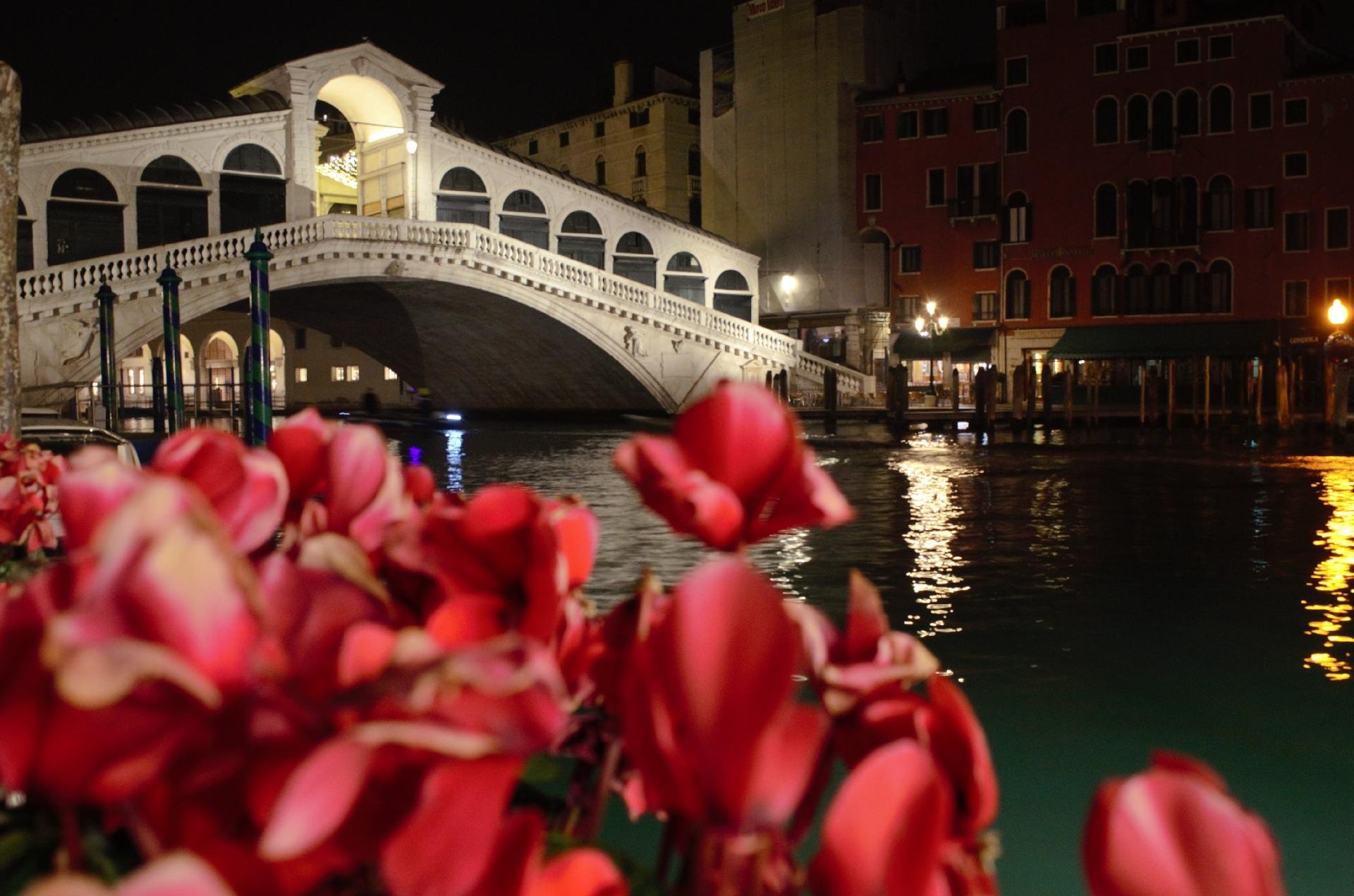 Veneza: conheça a história das pontes da cidade