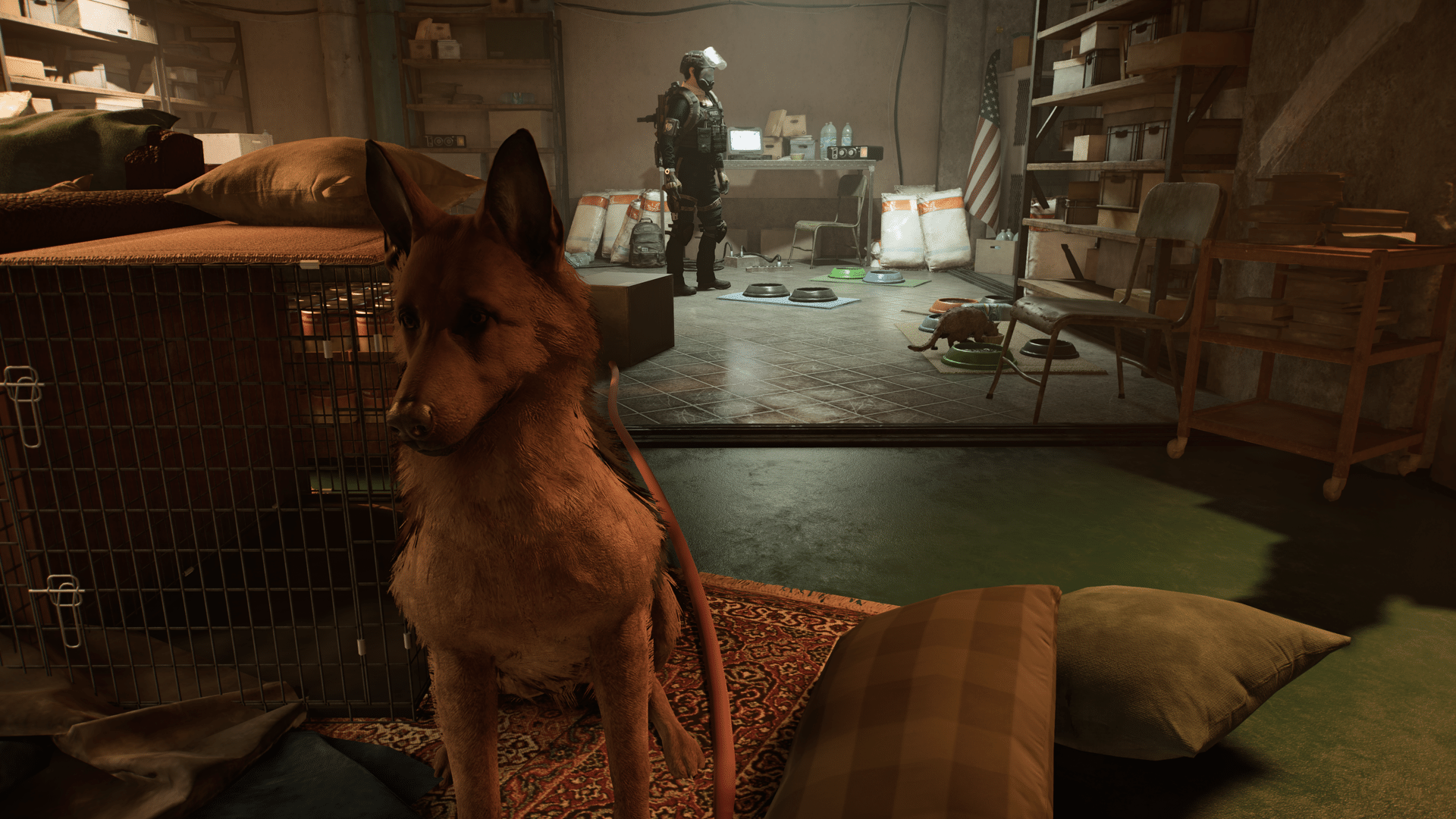 The Division 2: Doguinho da expansão é o único motivo para salvar Nova ...