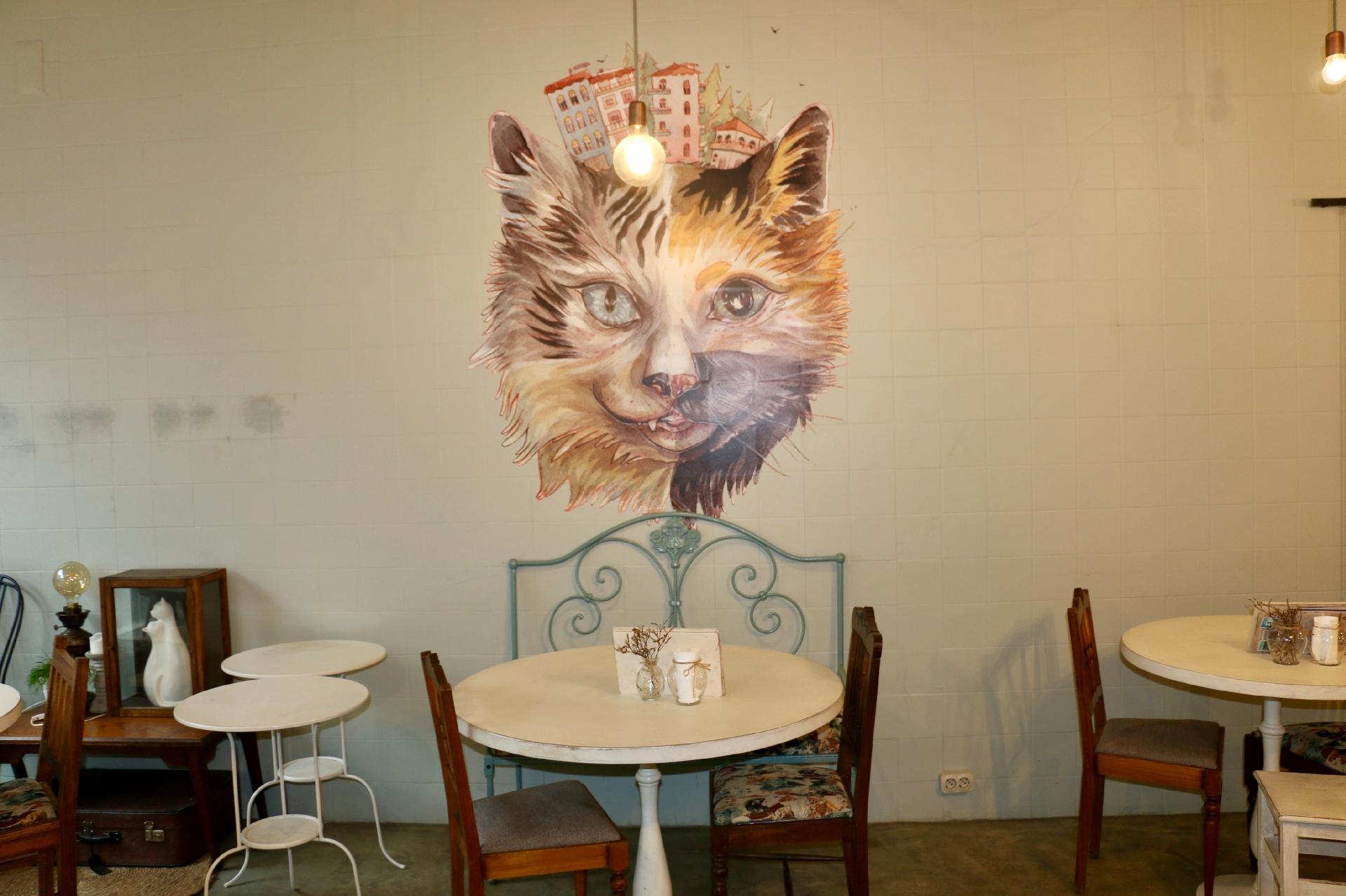 Café para "gateiros" em Portugal oferece comidinhas e companhia felina ...