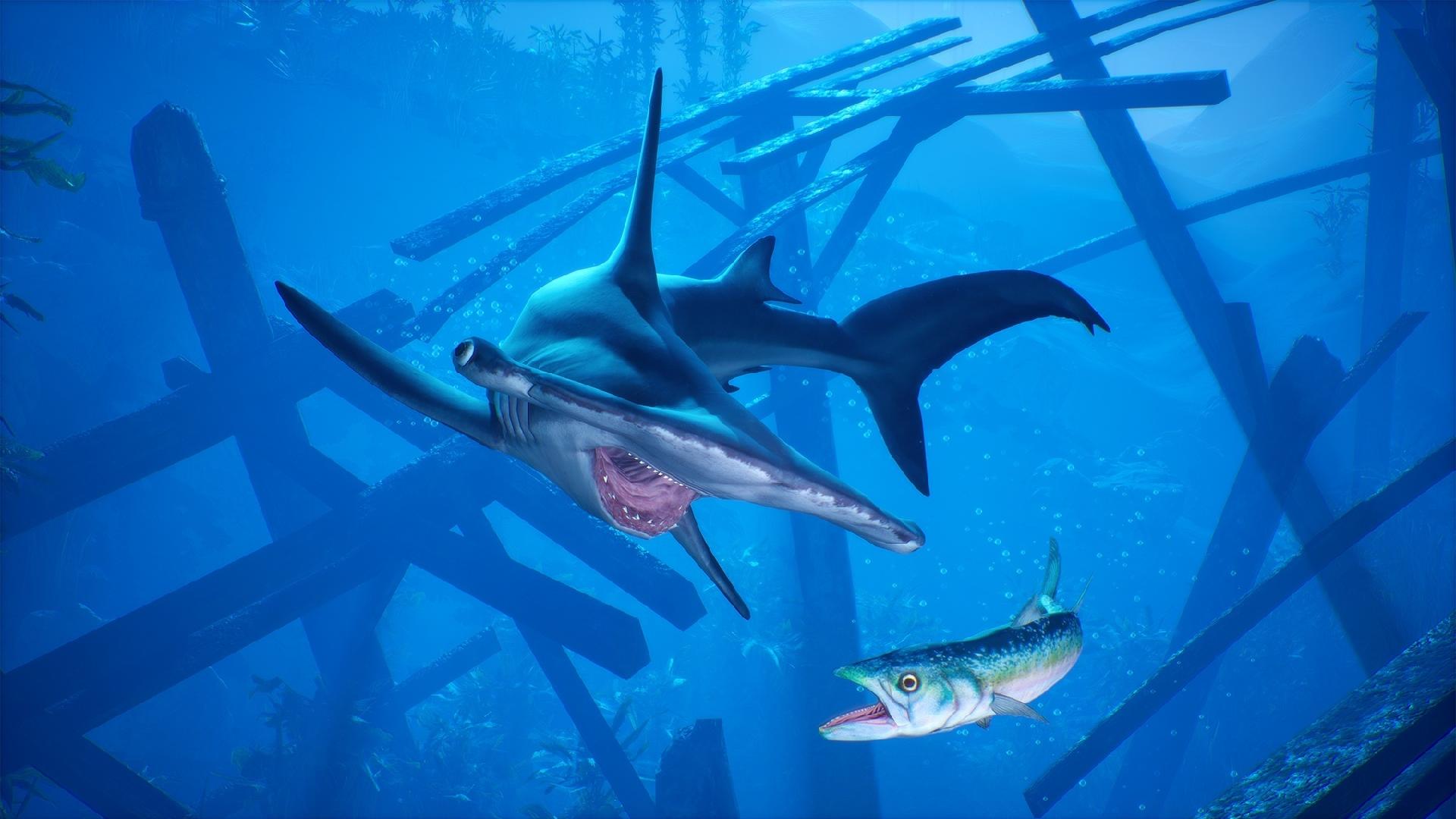 Review: Maneater (PC, PS4, Xbox One)