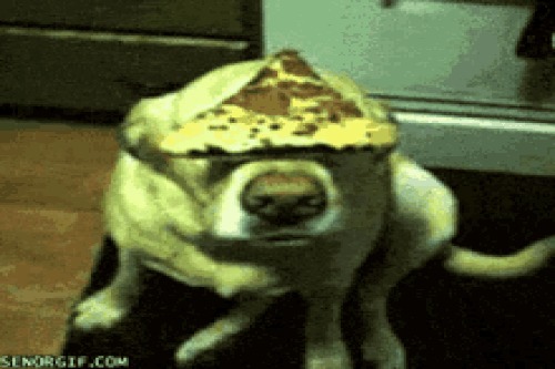 Gifs de pizza que vão fazer você sair correndo para o rodízio - BOL Memes