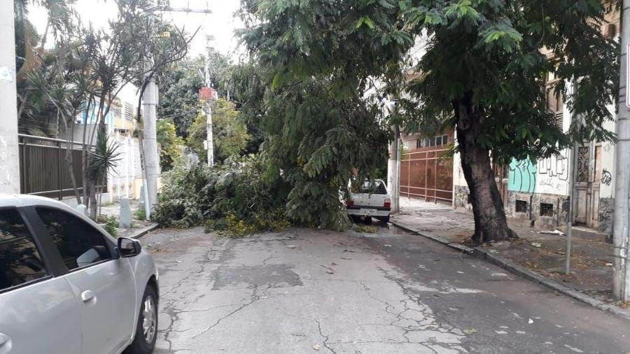 Chuvas no RJ: Temporal provoca alagamentos e quedas de árvores