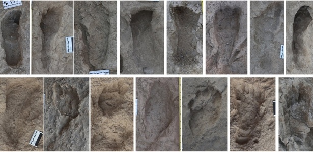 Homo erectus já andava como seres humanos há 1,5 milhão de anos - 25/07 ...