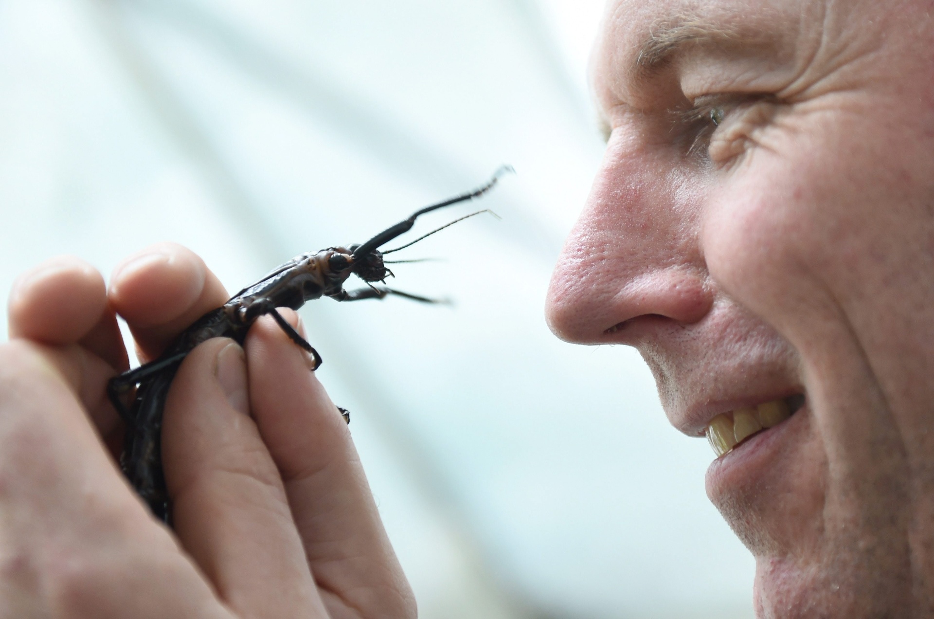 Fotos: Imagens do dia - 7 de setembro de 2015 - 07/09/2015 - UOL Notícias