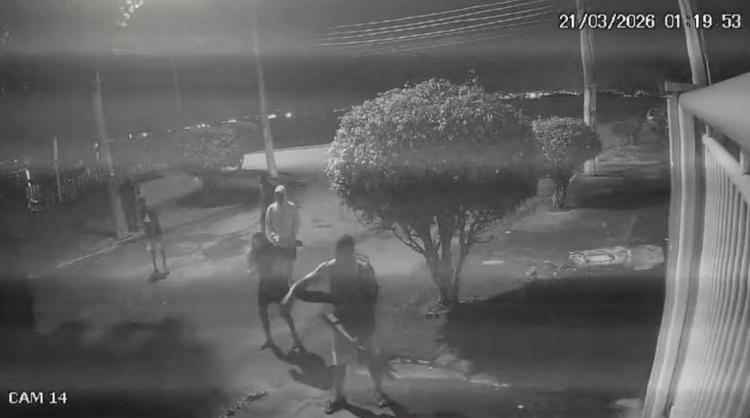 Capivara agredida no RJ melhora, mas ainda corre riscos