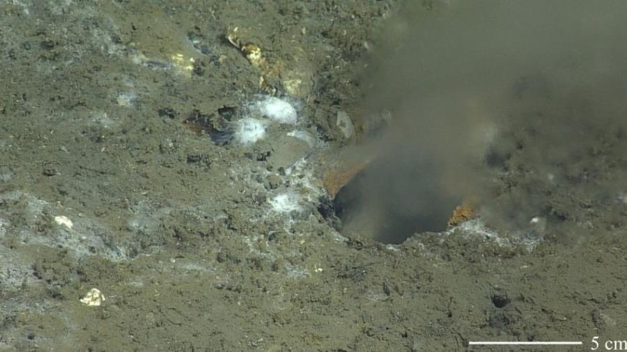 Oásis de Pítia: Estudo descobre buraco com 'vazamento' no fundo do mar
