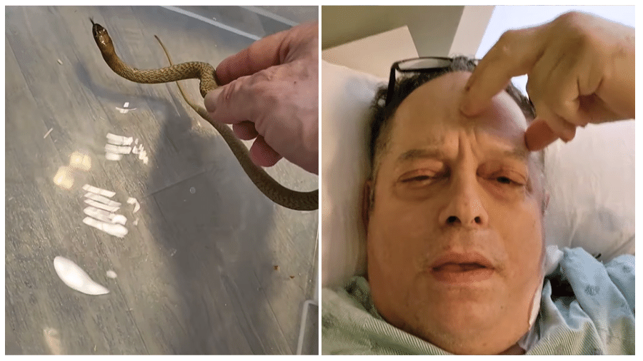 Ele dizia que soro antiofídico era para 'maricas' até ser mordido