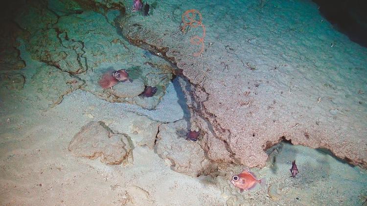 Arquipélago com praia, rio e 3 vezes maior que o RJ é achado submerso ...